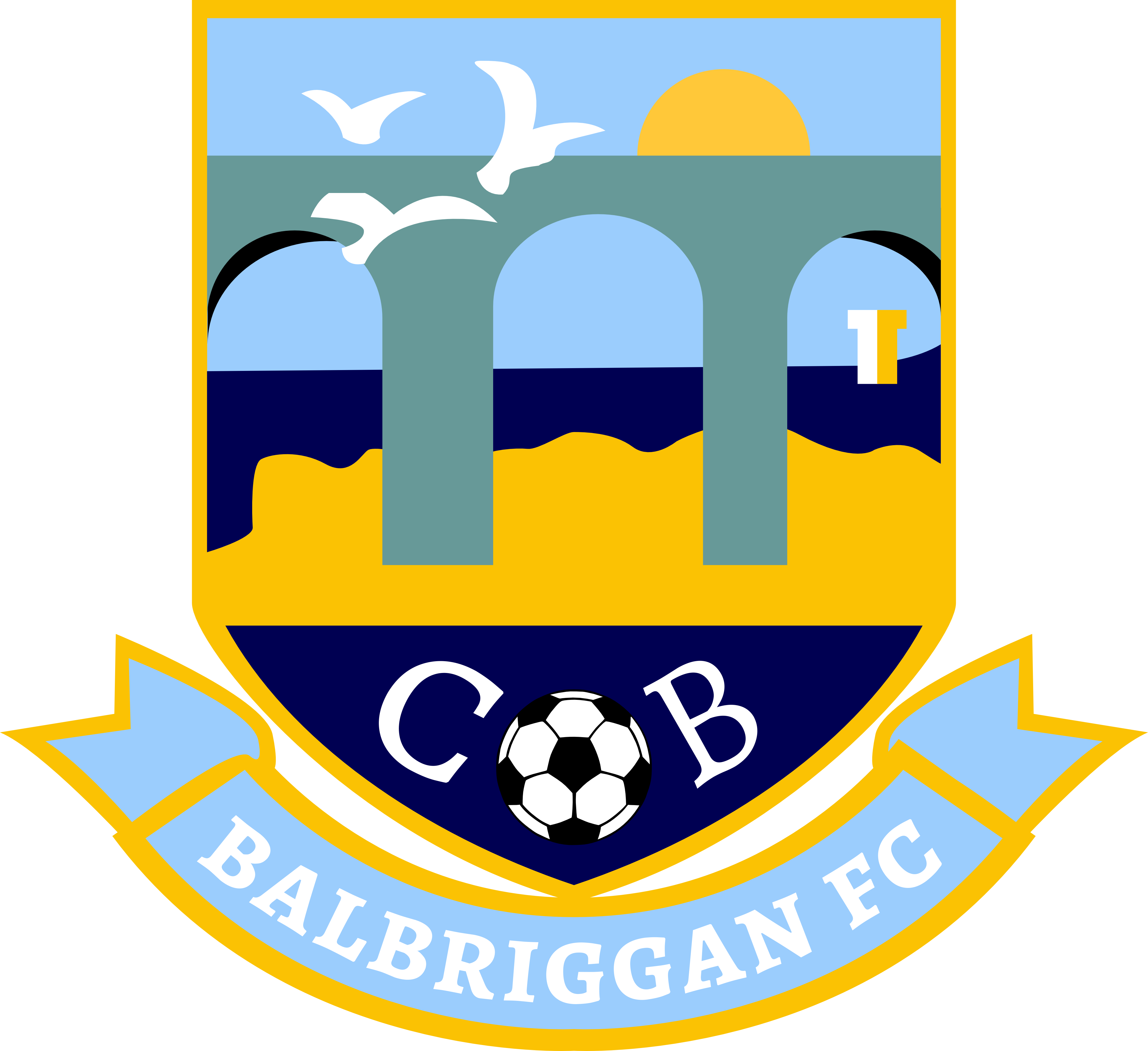 Balbriggan F.C. | Football in Our Community