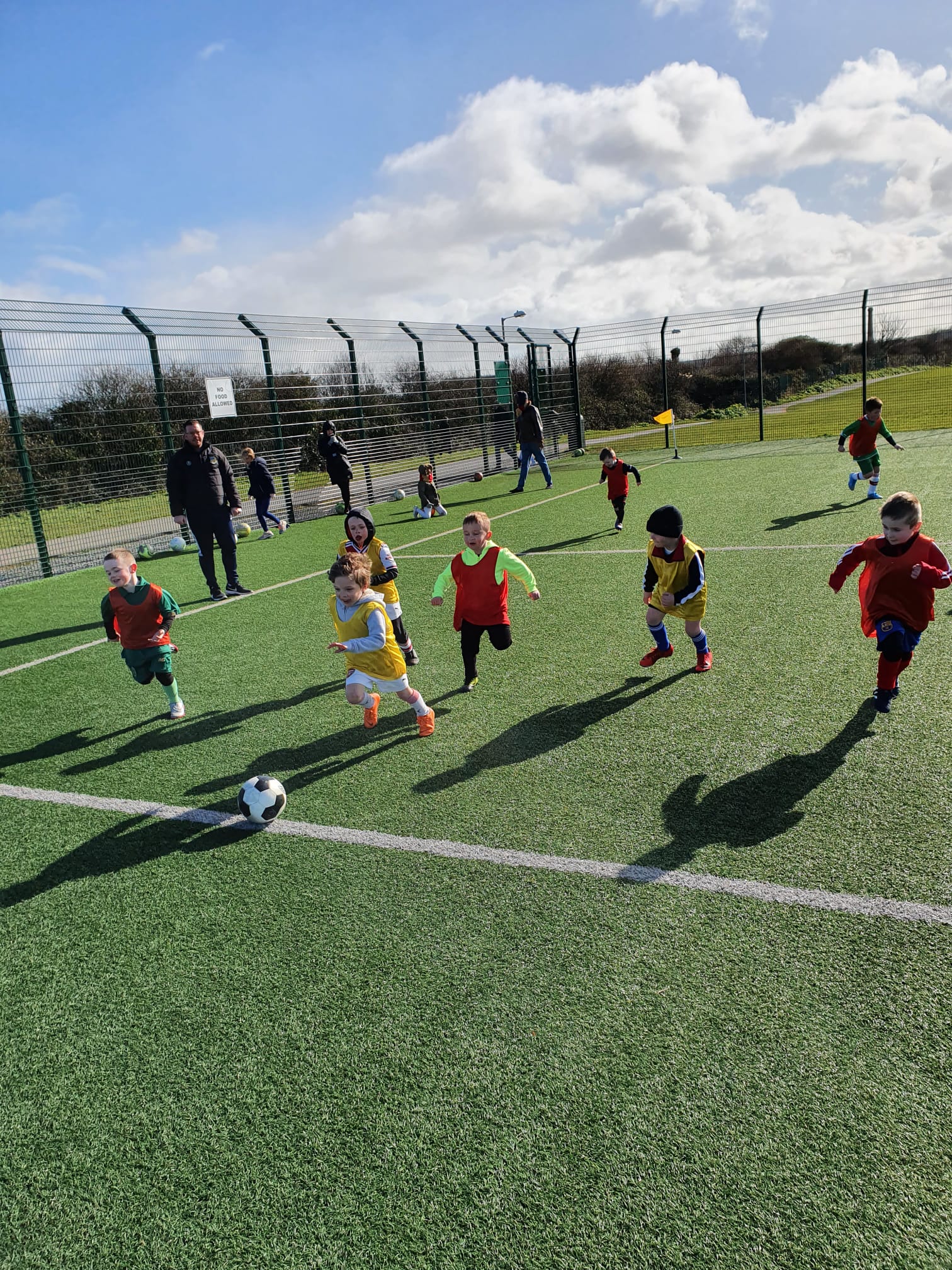 Balbriggan F.C. | Football in Our Community